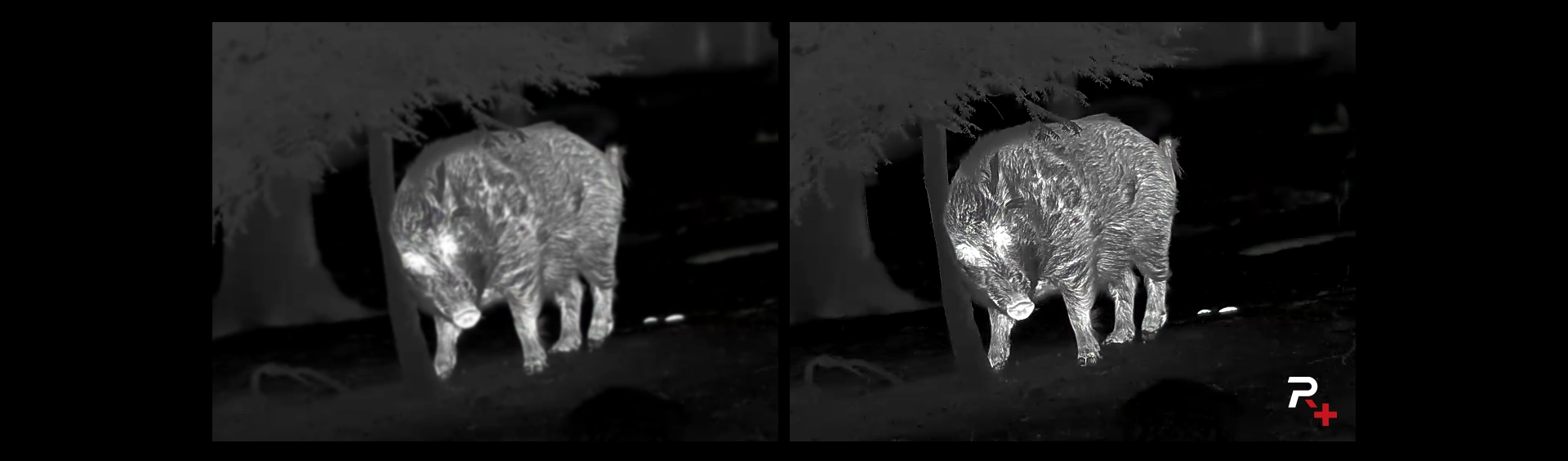 ACE Thermal Scope | Nocpix UK